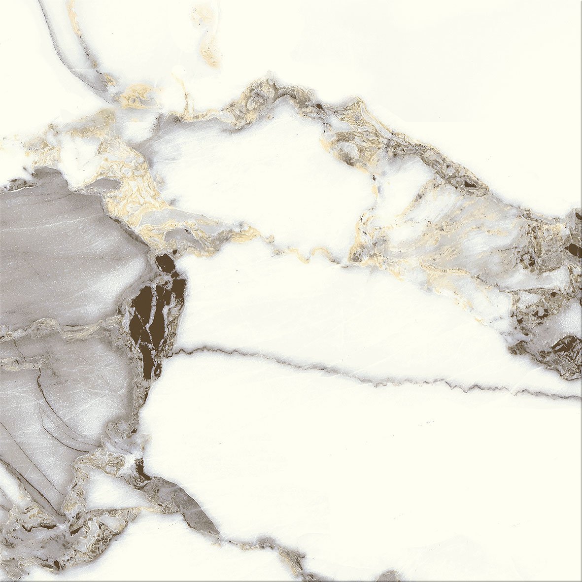 Splendor Eternal Beauty 30x30 cm | Van Calster